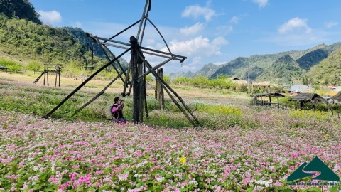 CÔ GÁI MÔNG GIỮA ĐỒNG TAM GIÁC MẠCH
